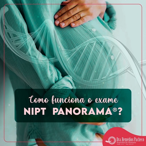 Como funciona o exame NIPT Panorama®? | Dra. Remédios Pacheco ...
